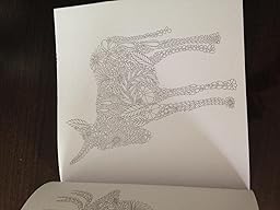 Animal Kingdom: Color Me, Draw Me: Amazon.ca: Millie Marotta: Books