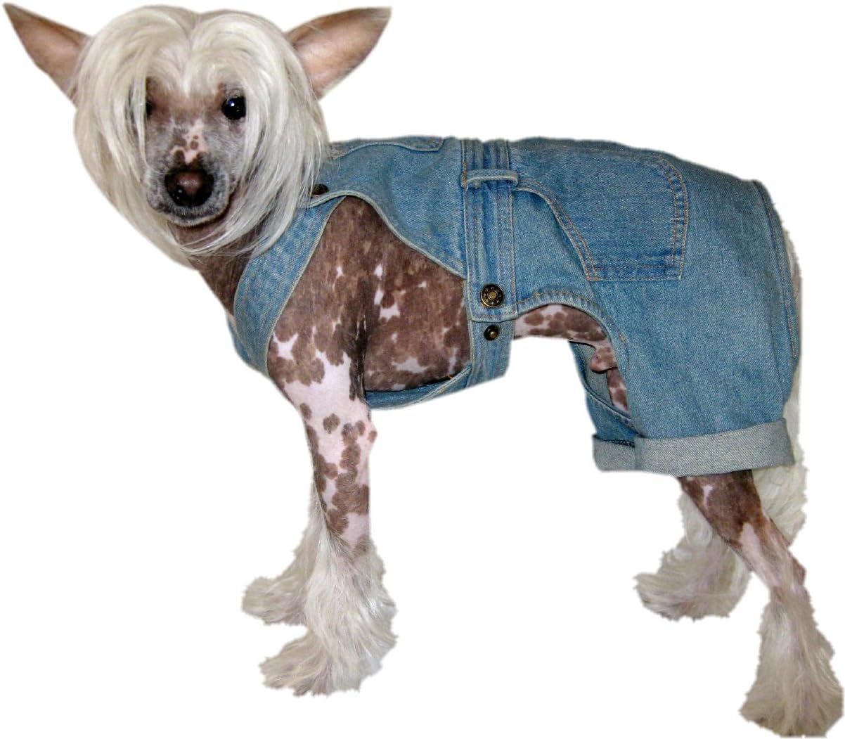 Dogs Stars Coole Jeans Hose für Hunde - Hundemode: Amazon.de: Haustier