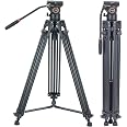 Amazon.com : Video Tripod System, Cayer BV30L 72 inch- Professional ...