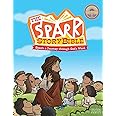 The Spark Story Bible: Spark a Journey through God's Word, Family ...