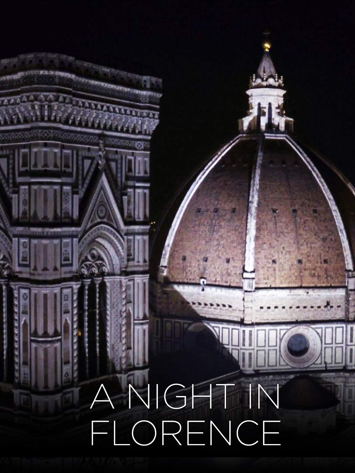 Amazon.com: A Night in Florence : Alberto Angela, Giancarlo Giannini ...