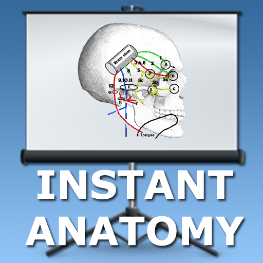 Anatomy Cranial Nerve Lectures:Amazon.co.uk:Appstore for Android