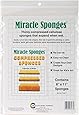 Amazon.com: Beige Compressed Sponge Sheets- Pack of 4: Arts, Crafts ...