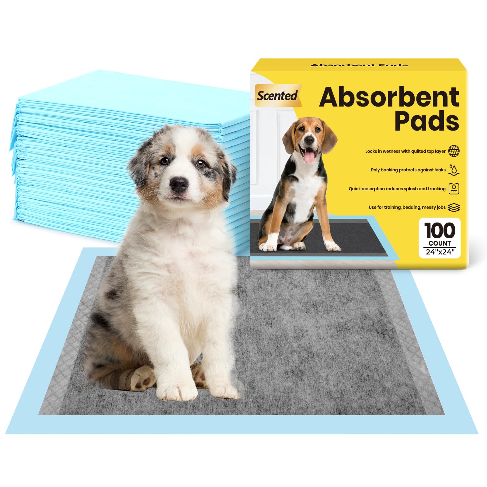 Dog Pee Pads: Super Absorbent & Leak-Proof Puppy Pads - Charcoal ...