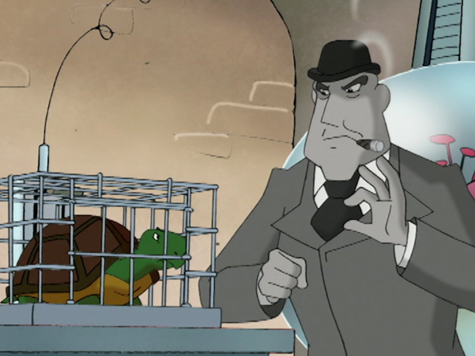 Watch Momo | Prime Video