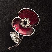The Royal British Legion Codebreaker's Brooch: Amazon.co.uk: Jewellery