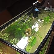 Interpet Fish Pod Glass Aquarium Fish Tank - 48 L: Amazon.co.uk: Pet ...