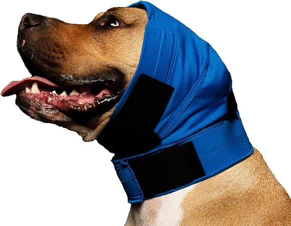 No Flap Ear Wrap The Original XSmall Blue Amazon co uk Pet Supplies
