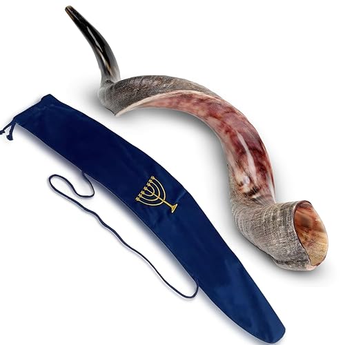 New Shofarot Israel Kosher Yemenite Kudu Shofar 34"-35" Half Polish ...