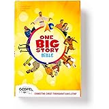 The Big Picture Interactive Bible for Kids, Hardcover: Connecting ...