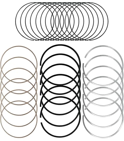 Standard Piston Rings For 6.4L V8 Chrysler Dodge Jeep Ram DNJ Piston ...