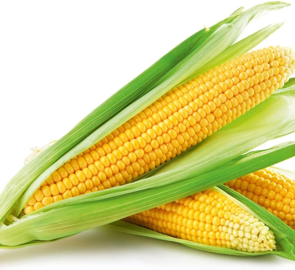 PREMIER SEEDS DIRECT Sweet Corn - SWEETCORN - Swift F1-55 Finest Seeds ...