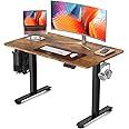 Amazon.com: Veken 48 Inch Electric Standing Desk, Height Adjustable Sit ...