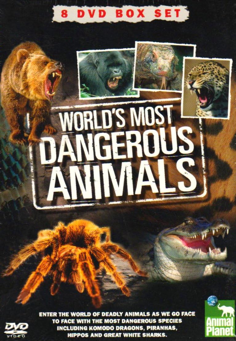 Worlds Most Dangerous Animals [DVD]: Amazon.co.uk: DVD & Blu-ray
