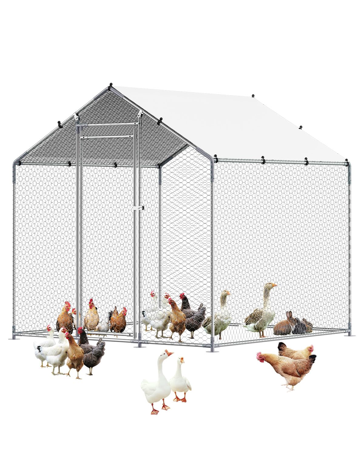 VEVOR Metal Chicken Coop, 6.56x6.56x6.56ft Walk in Chicken Runs for ...