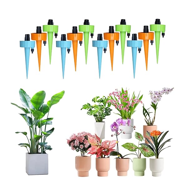 GuatemalaDigital.com - Producto: Wiser Angel, 2021 Upgrade Plant ...