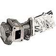 Amazon.com: GM Genuine Parts 219-622 Exhaust Gas Recirculation (EGR ...