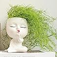 Amazon.com : Face Planters Pots Head Cute Kiss Girl Mermaid Resin Pot ...
