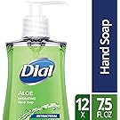 Amazon.com : Dial Himalayan Pink Salt & Water Lily Hand Soap with ...