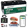Amazon.com: OGRPHY 48V Lithium Golf Cart Battery Conversion Kit, 200A ...