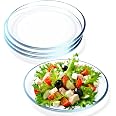 Amazon.com | NUTRIUPS 4 Pack 9in Modern Glass Dinner Plates, Clear ...