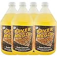 Amazon.com: Quality Chemical Paver Magic - High Power Concrete, Brick ...