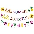 Amazon.com: Hello Summer Banner, Glittery Hello Sunshine Classroom ...