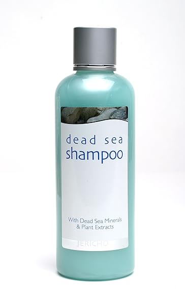 Amazon.com : Jericho Dead Sea Minerals Shampoo-Oily Hair-10.1 oz : Dead ...