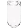 RAB Lighting GL200 200 Series Vaporproof Threaded Glass Globe, 300W ...