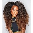 Amazon.com : FANCEE Afro Kinky Curly Braiding Hair Ombre Brown Marlybob Jerry Curl Crochet Hair ...