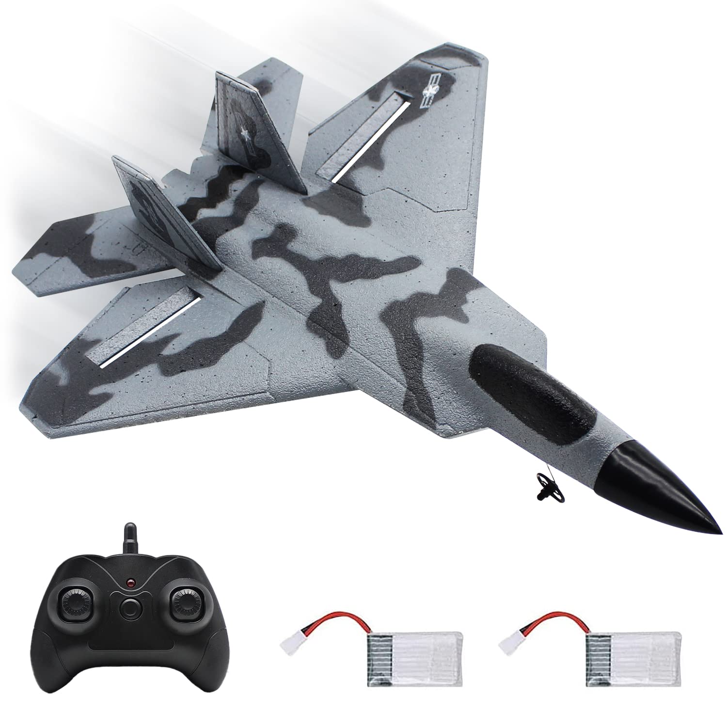 fisca RC Plane Remote Control F22 Fighter Raptor Airplane with Lights ...