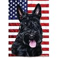 Amazon.com : Scottish Terrier - Best of Breed All-American III Garden ...