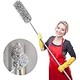Amazon.com: Webster Cobweb Duster, Feather Duster for Home, Extendable ...