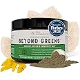 Amazon.com: Beyond Greens Concentrated Superfood Powder - Matcha Flavor ...