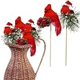 Amazon.com: 4Pcs Christmas Red Bird Decorations Artificial Red Cardinal ...