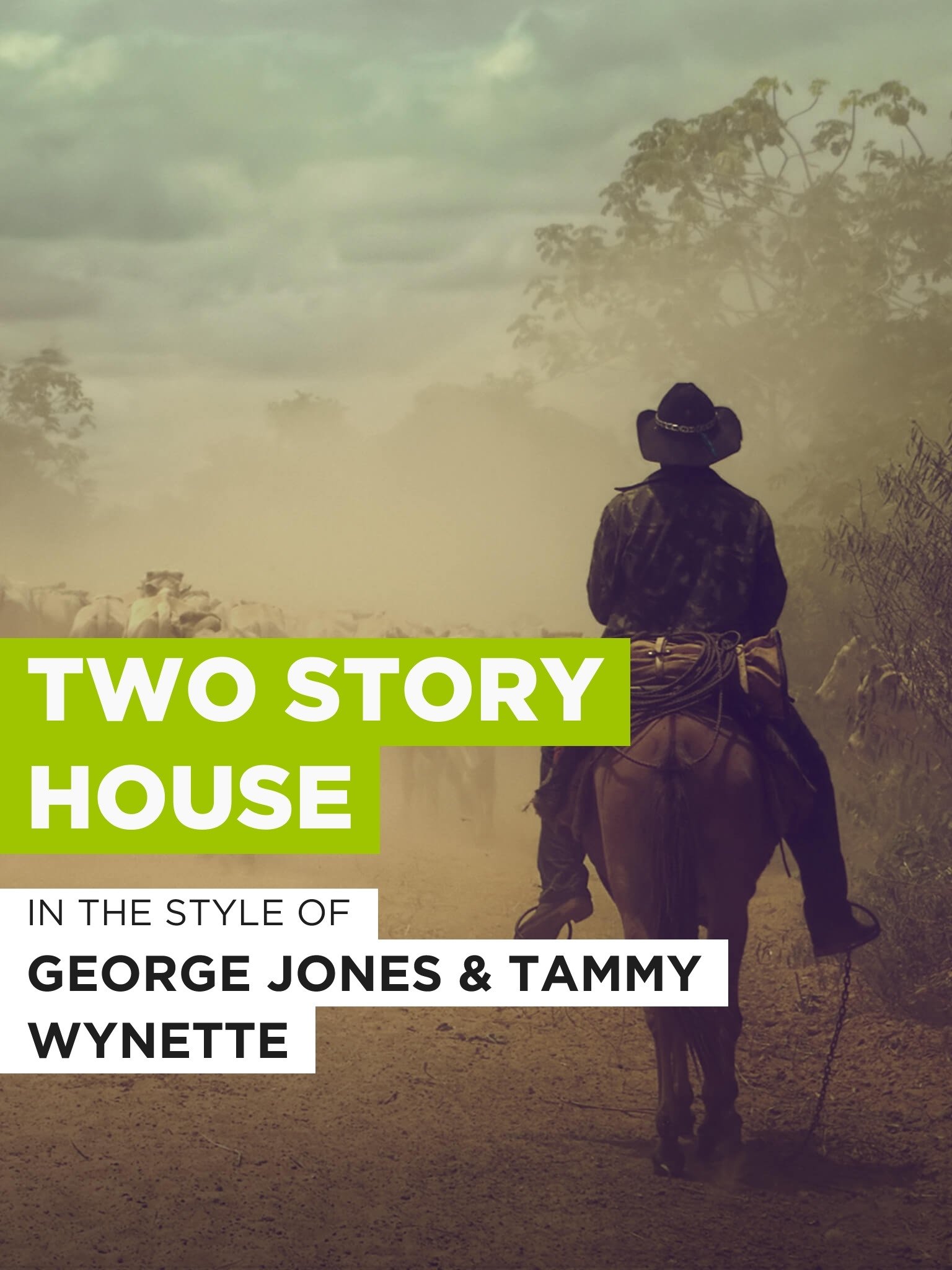 Amazon.com: Two Story House : George Jones, Tammy Wynette, ---, D ...