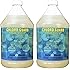 Amazon.com: Chloro-Guard Chlorine. Pool grade liquid chlorine. 12% ...