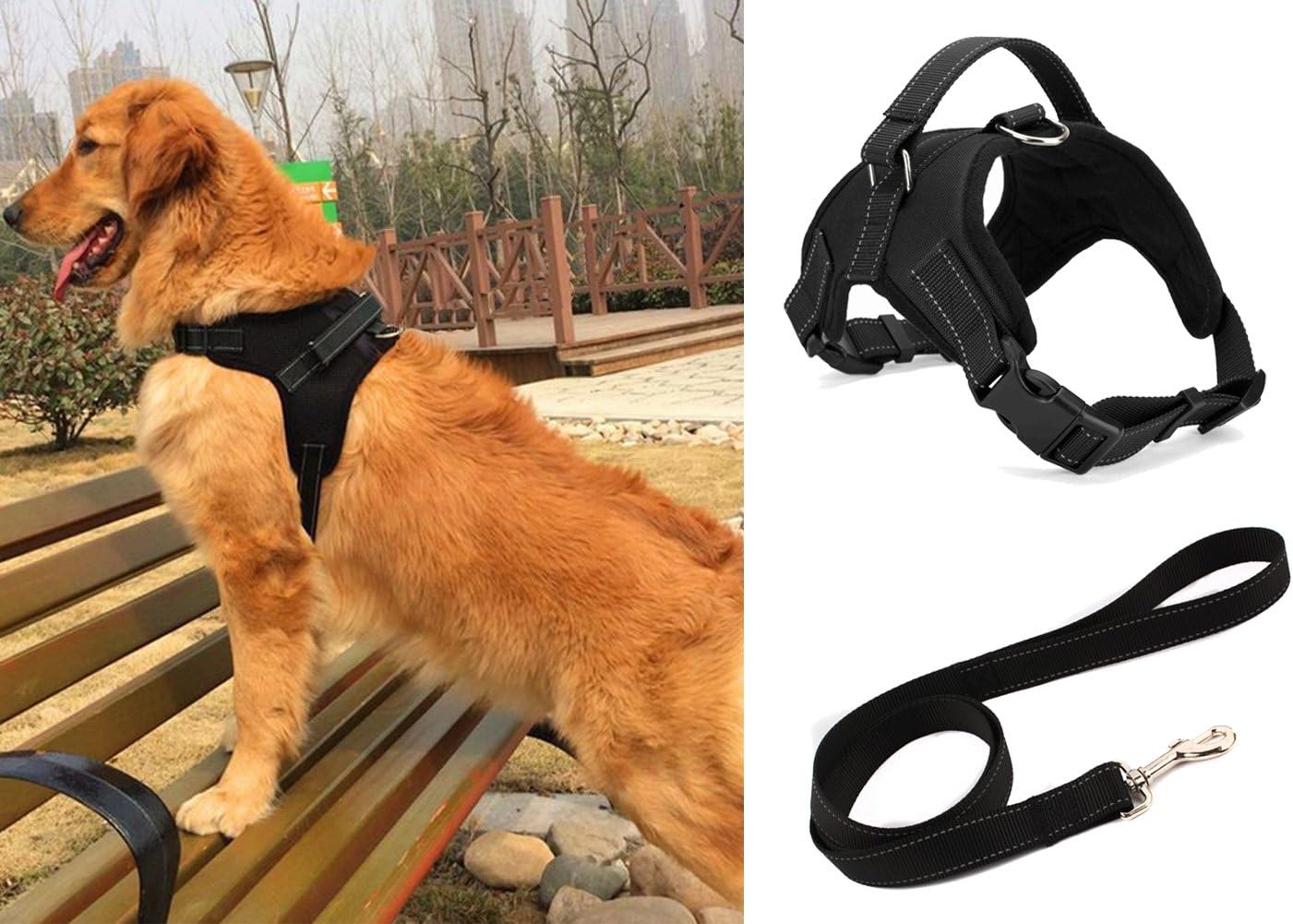 Liying Padded Adjustable Non Pull Dog Harness + Black Leash Lead 120cm ...