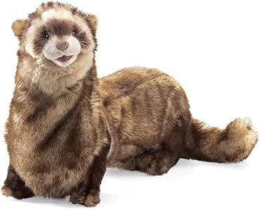 Folkmanis Puppets Ferret Hand Puppet, Brown, Animals - Amazon Canada