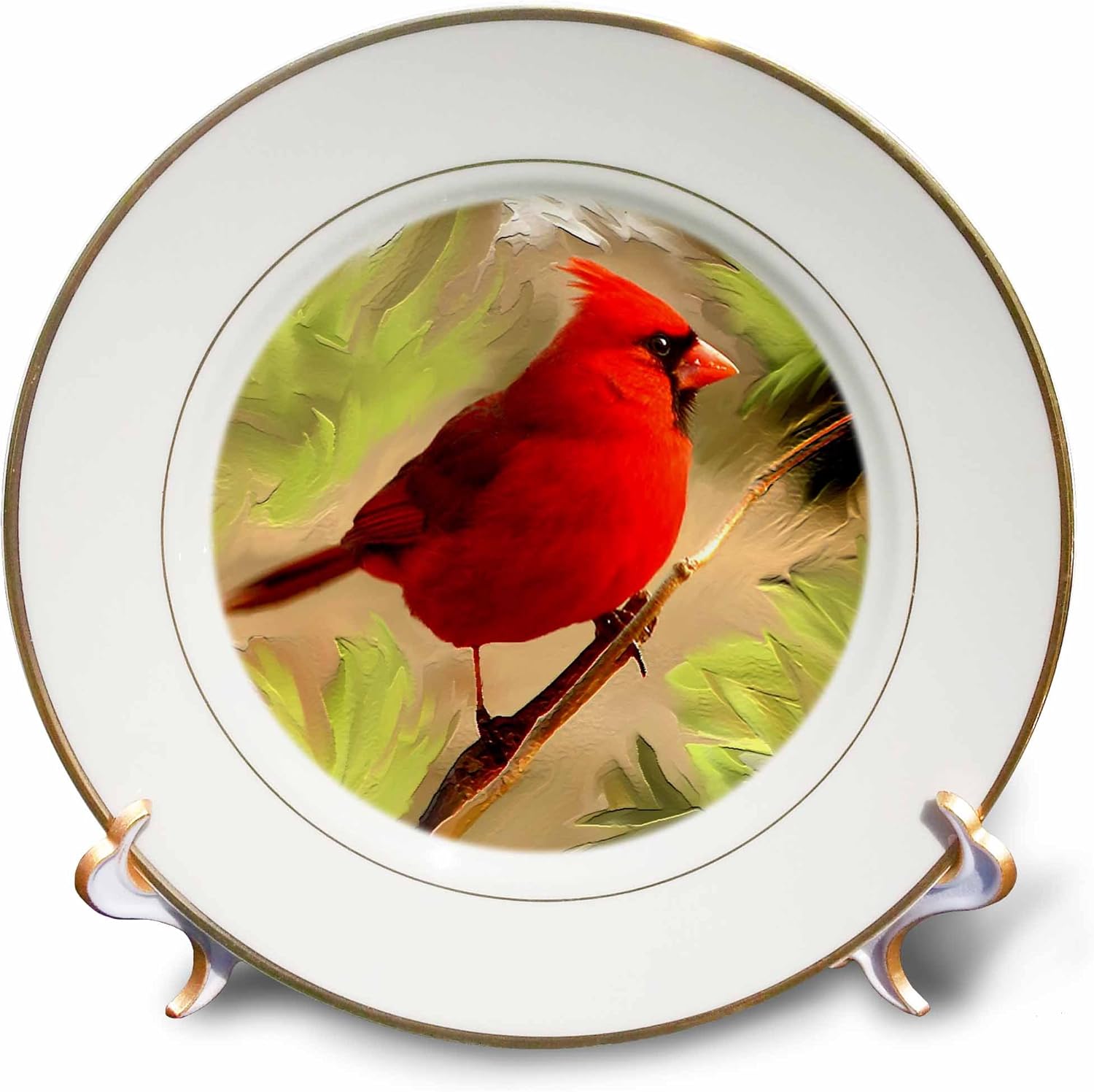 Amazon.com: 3dRose Red Cardinal 8-Inch Porcelain Plate: Home & Kitchen