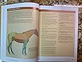 How to Think Like A Horse: The Essential Handbook for Understanding Why ...
