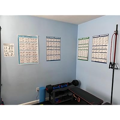 Buy SPORTAXIS- Core Workout Poster with Coloured Illustrations- No ...