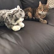 Keel Toys 30cm Laying Cat (Jade Grey): Amazon.co.uk: Toys & Games