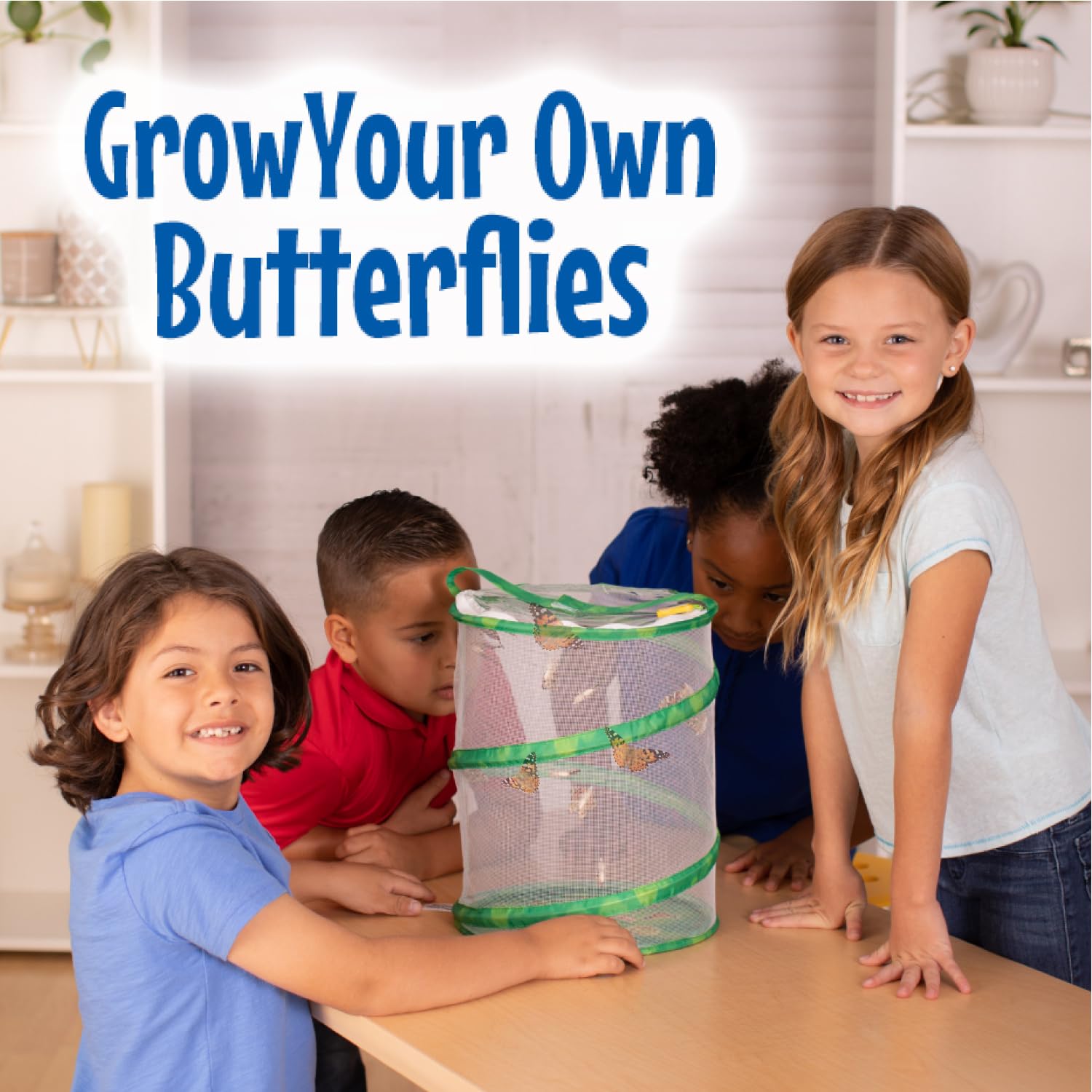 Mua Insect Lore Birthday Butterfly Garden | Butterfly Growing Kit with ...