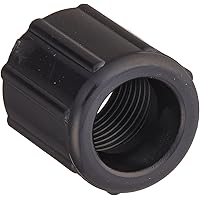 Amazon.com: Pentair R172274 Compression Nut Replacement Pool and Spa ...