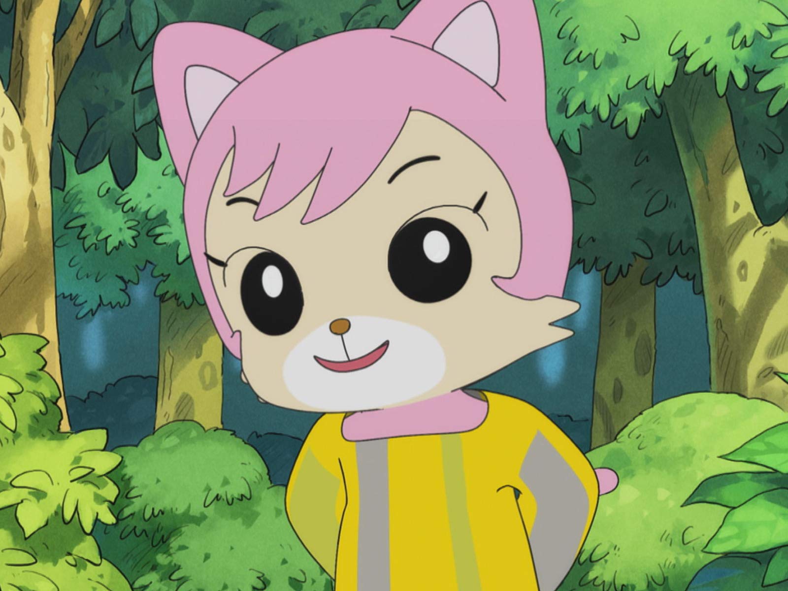 Watch Shimajiro A Wonderful Adventure | Prime Video