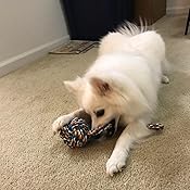 Pet Supplies : DODODO Dog Rope with Tug, Interactive Rope Chew Toys ...