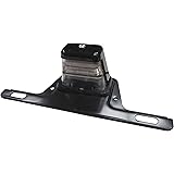 Amazon.com: Optronics LPL55CPGP Black LED License Light with Abs ...