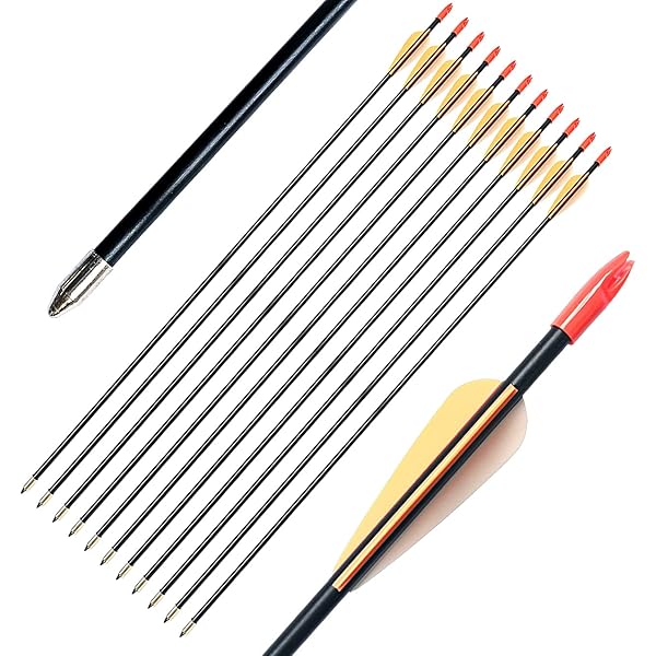 Gold Tip Arrows 6875 Fiberglass Arrows For Archery - 24-30 Inch Target ...
