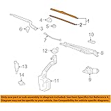 Amazon.com: Genuine GM Fitting Part# 12583384: Automotive